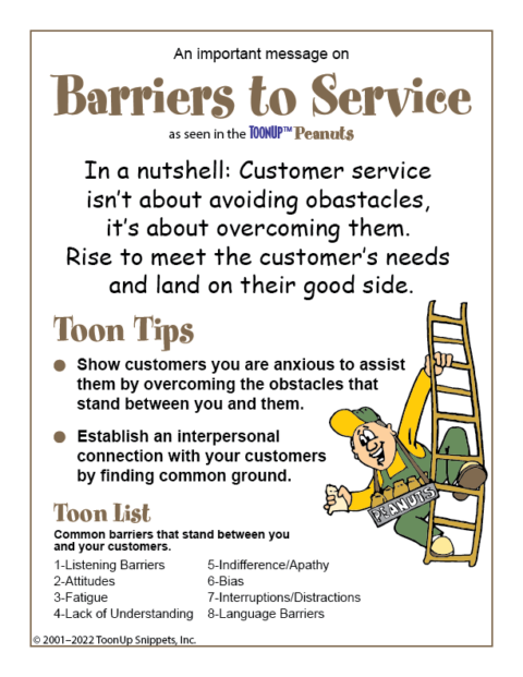 Barriers to Service | ToonUps